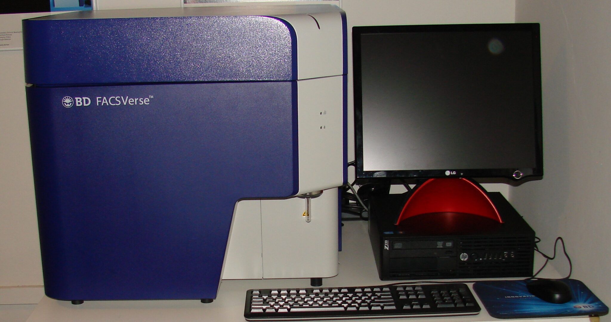 NMM - Núcleo de Microscopia e Microanálise